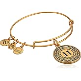 Amazon.com: Alex and Ani Replenishment 19 Women's Art Infusion, Just A Phase Charm Bangle, Shiny ...