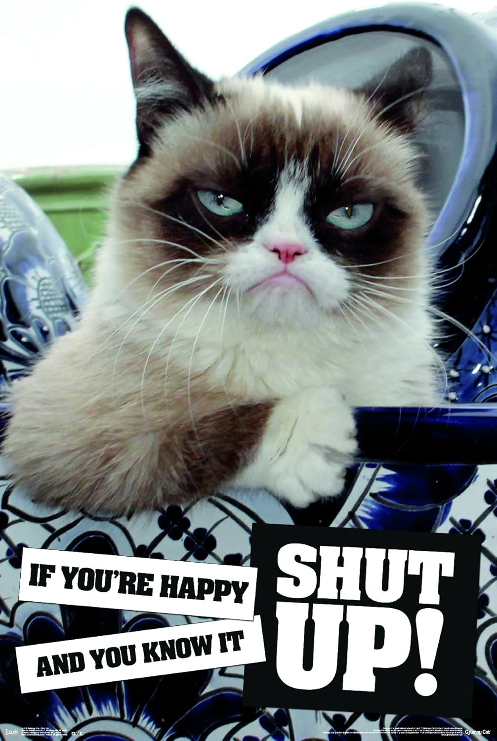Amazon.com: Trends International Grumpy Cat-Shut up Premium Wall Poster ...