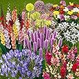 Complete Summer Flowering Bulb Collection - 300 Bulbs in 7 Varieties: Amazon.co.uk: Garden ...