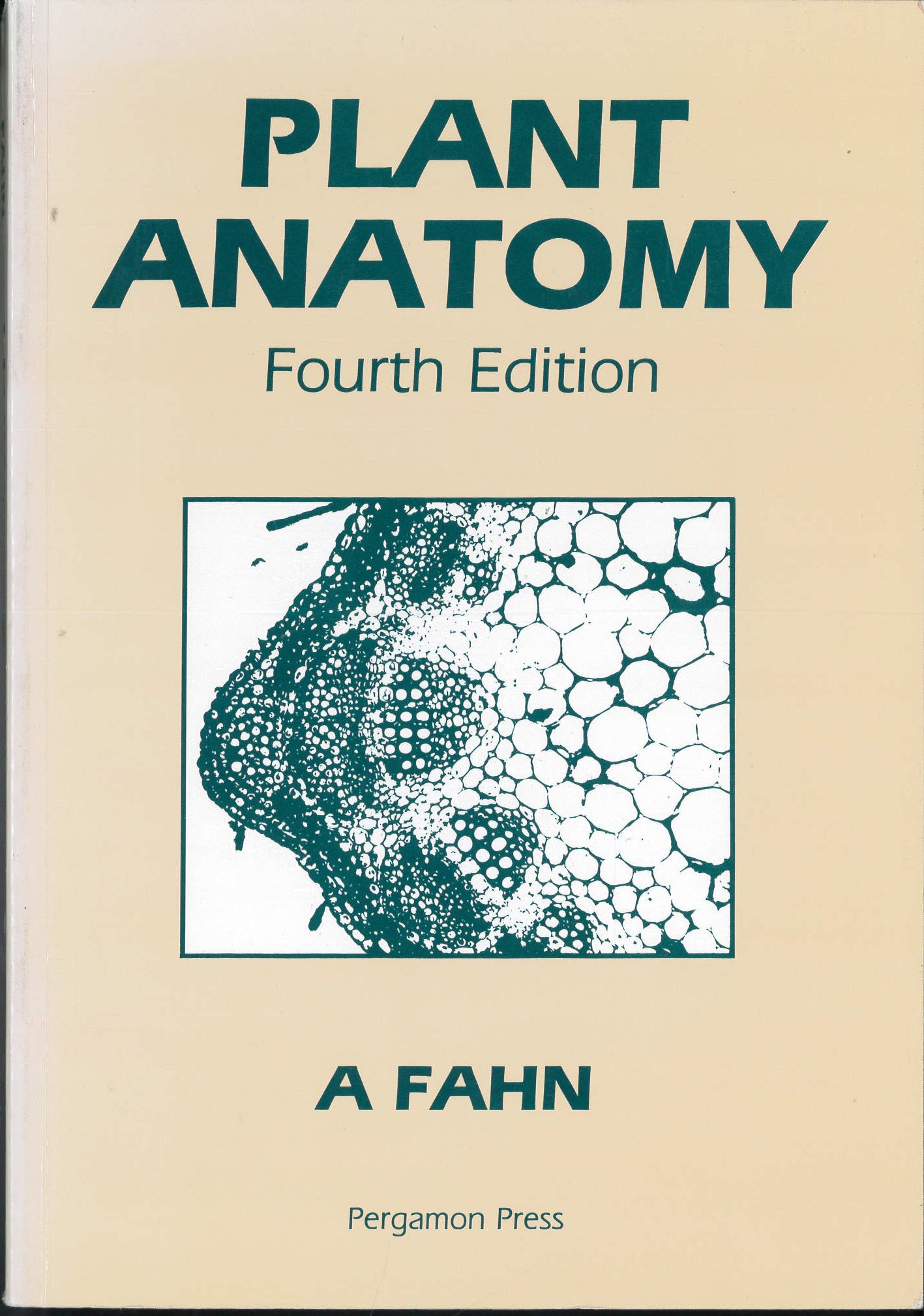 PLANT ANATOMY FAHN PDF