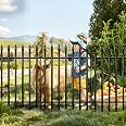 Amazon.com : Thealyn Metal Garden Fence 36 inch High x 28 inch Wide (5 ...