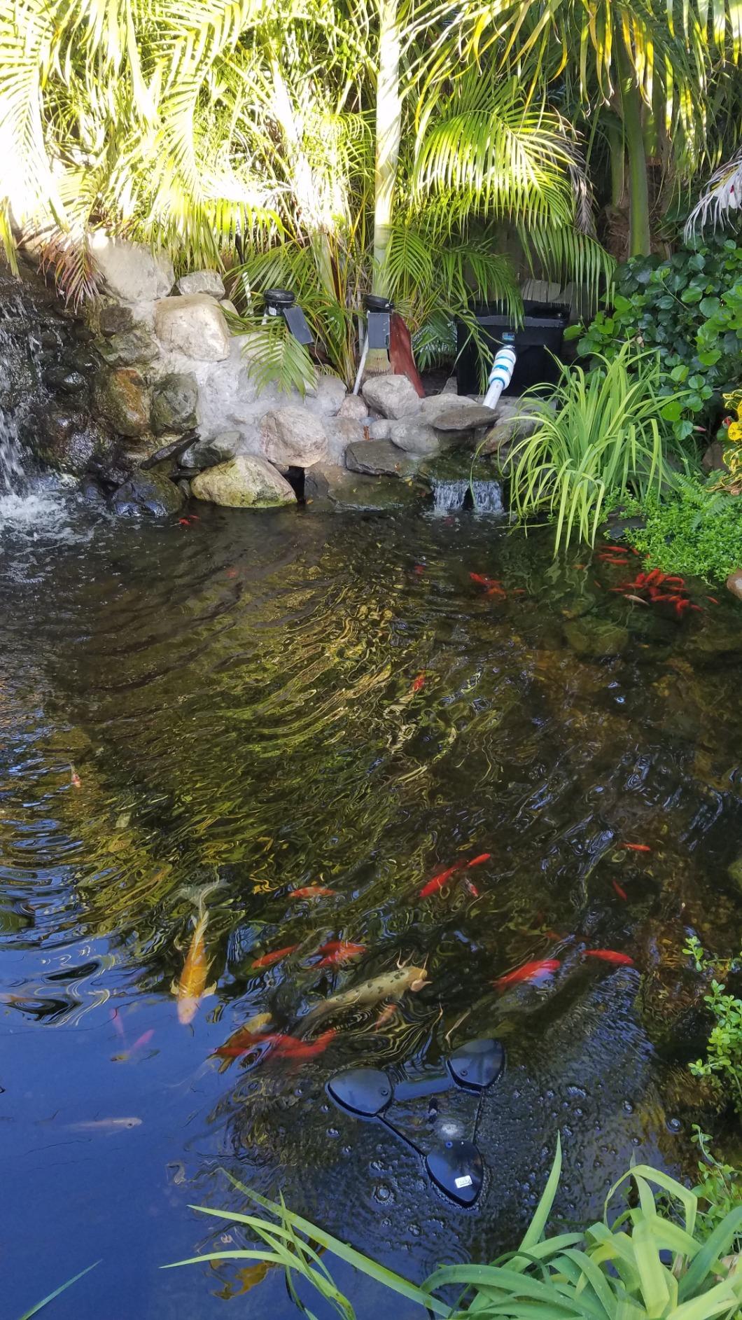 $40/mo - Finance OASE BioSmart 5000 Pond Filter | Buy Now, Pay Later