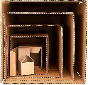 Amazon.com: Give the Gift of Frustration: Boxes in a Box Prank ...