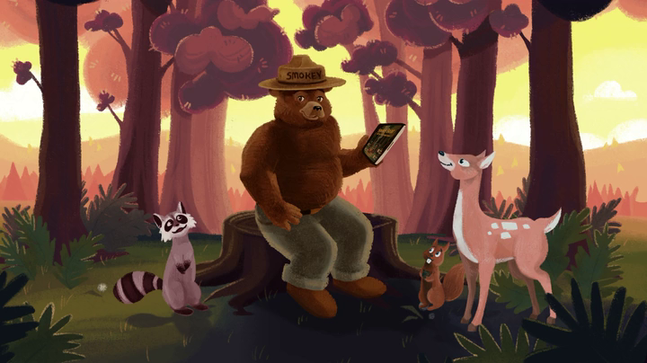 Smokey Bear and the Campfire Kids Book - Will Smokey get to the ...