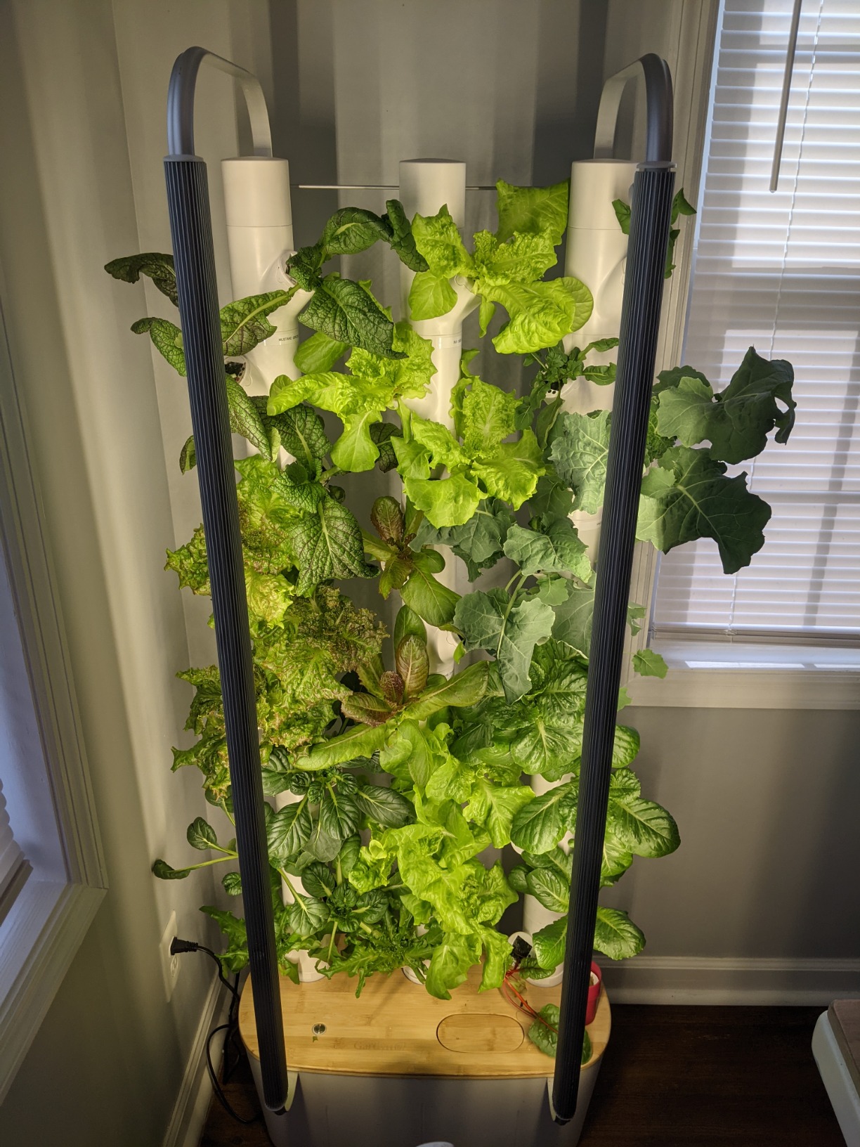 $29/mo - Finance Gardyn Hydroponics Growing System 1.0 & Vertical ...