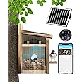Amazon.com: Bird House with Camera Solar Powered,2K HD Wi-Fi Bird ...