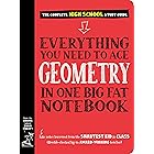 Amazon.com: Everything You Need to Ace Chemistry in One Big Fat ...