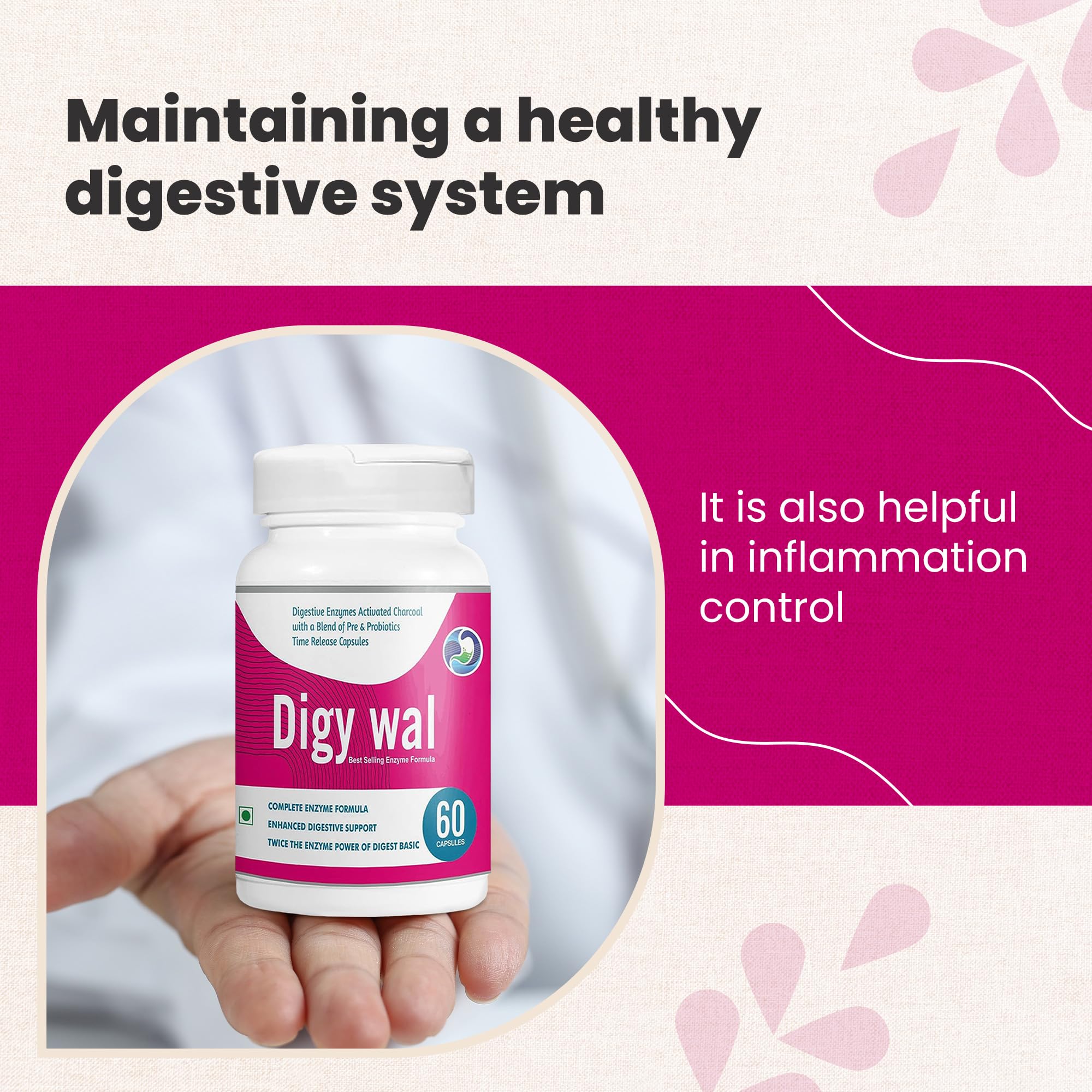 Mua Digestive Enzyme Capsules (60 Count) - Activated Charcoal Digestive ...