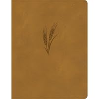 CSB Notetaking Bible, Large Print Edition, Camel LeatherTouch, Black ...