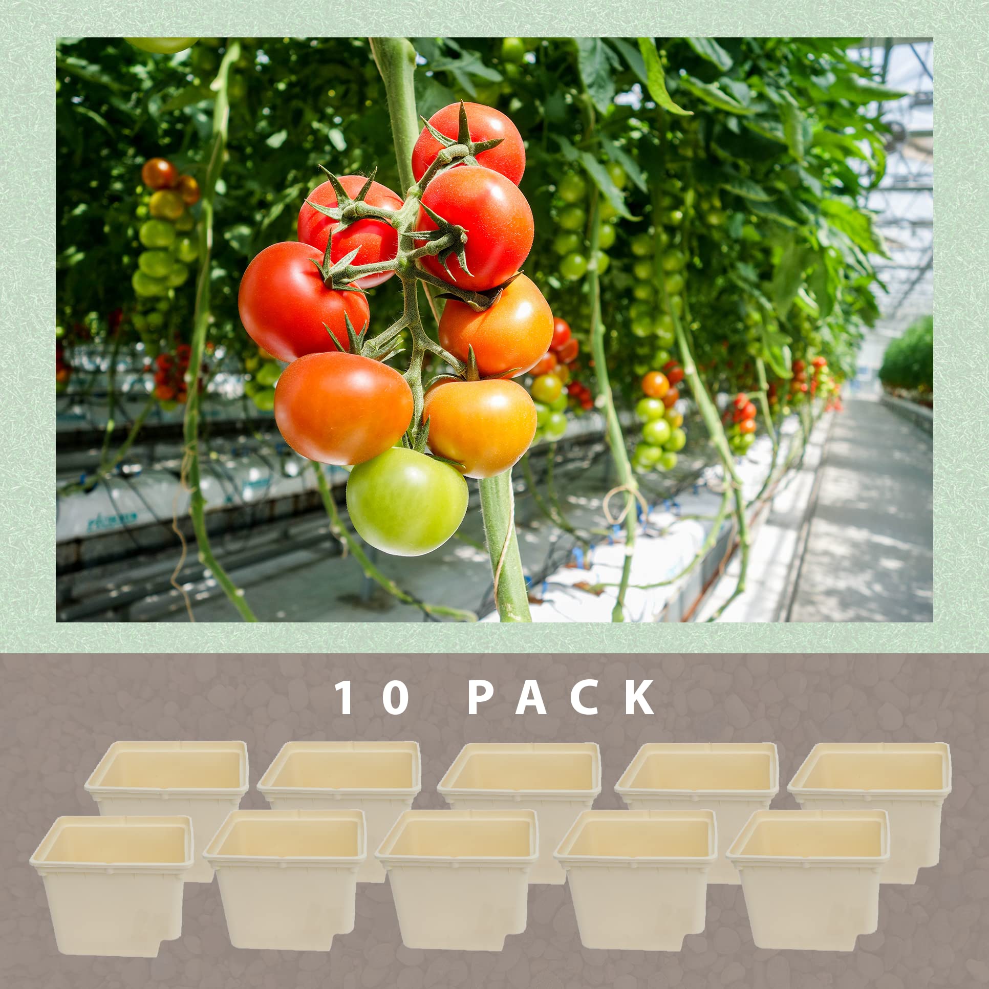 Mua Hydroponic Dutch Bucket System - Complete Kit with 10 Buckets ...