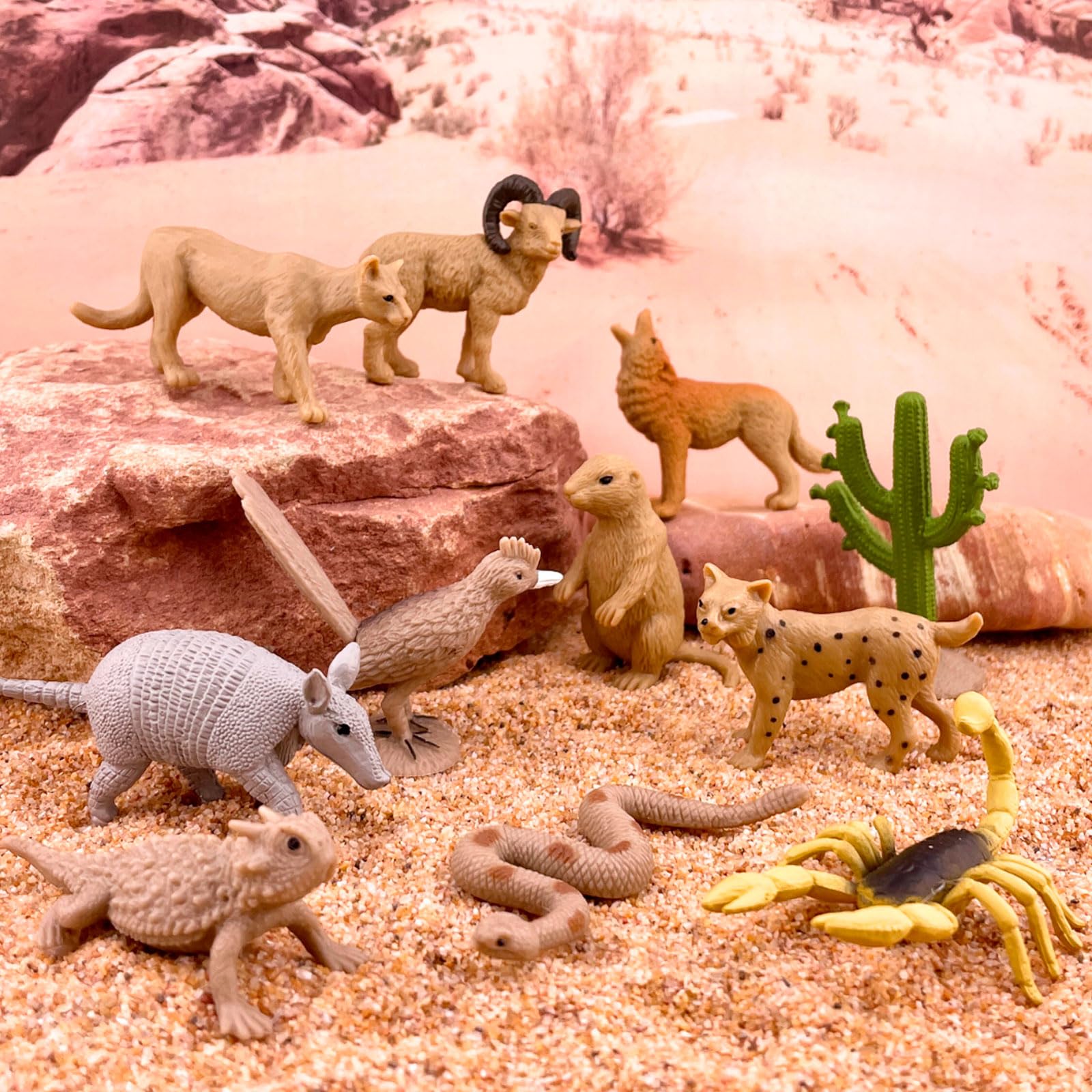 Mua Safari Ltd. Desert TOOB - Figurines of Horned Lizard, Cactus, Road ...
