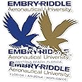 Amazon.com: Desert Cactus Embry-Riddle Aeronautical University Sticker ...