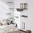 Amazon.com : Wall Mounted Cat Climbing Frame, 6pc Cat Wall Furniture ...