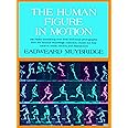 Amazon.com: The Human Figure in Motion: 9780486202044: Eadweard ...