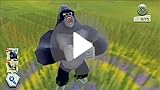 Amazon.com: SimAnimals Africa - Nintendo Wii: Video Games