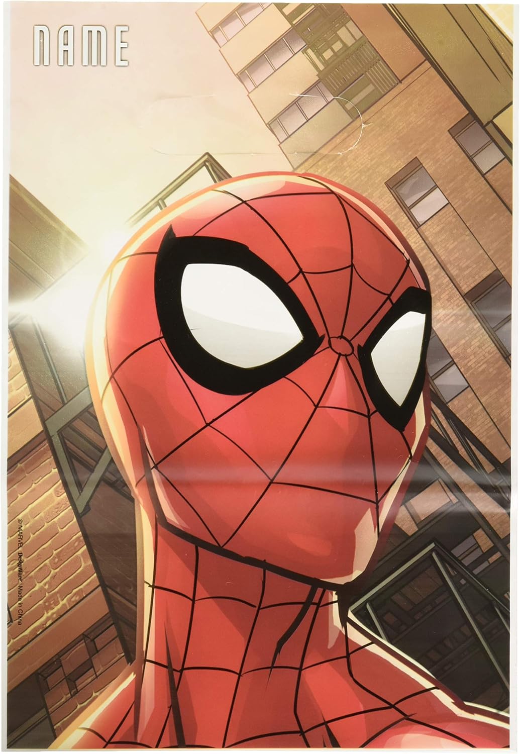 Amazon.com: amscan Spider-Man Webbed Wonder Folded Loot Bags, Party ...