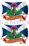 Small Size Scotland Thistle & Cross Flags: Amazon.co.uk: Kitchen & Home
