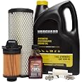 Amazon.com: Briggs and Stratton 84002315 Vanguard Series Maintenance ...