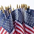 Amazon.com : Small American 4x6 Inch Flags-50 Pack on Stick, Handheld ...