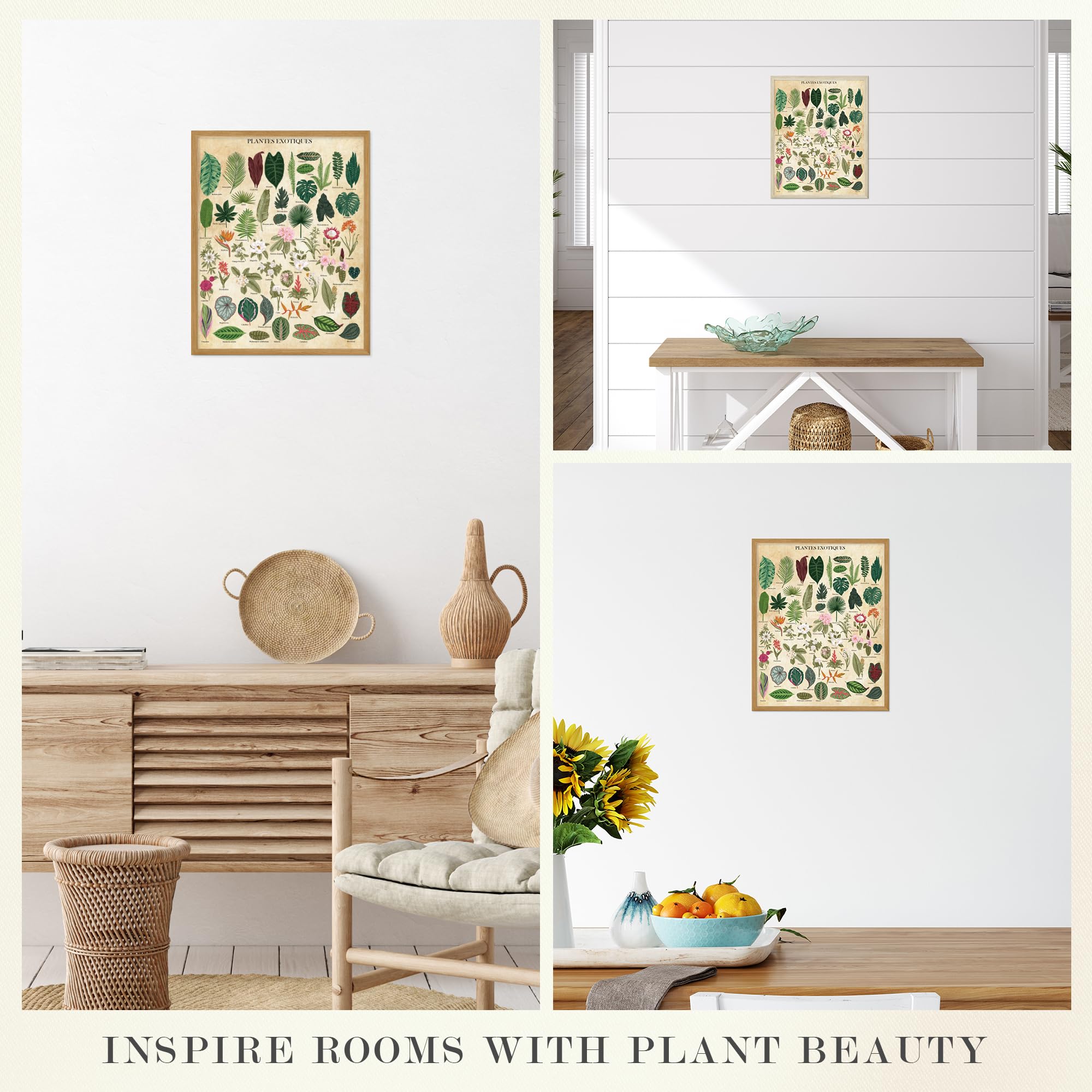 Mua Insire Vintage Plant Poster, Botany Poster, Large Botanical Poster ...