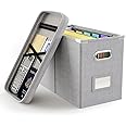 Amazon.com: Oterri File Organizer with Lid, Hanging Filing Box with ...