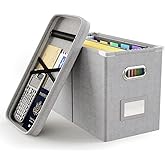 Amazon.com: Oterri File Organizer Box with Lid, Hanging Filing File Box ...