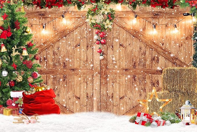 Dephoto Christmas Rustic Barn Wood Door Backdrop For