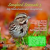 Songbirds By the Stream: Dan (Solitudes) Gibson: Amazon.ca: Music