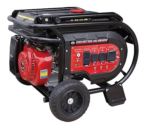 All Power G10000EGL - 10,000 Watt Starting Power Generator Dual Fuel JD ...