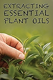 The Beginners Guide to Making Your Own Essential Oils: Complete Guide ...