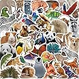 Amazon.com: Cute Animal Stickers, Zoo Animals Stickers, Realistic ...