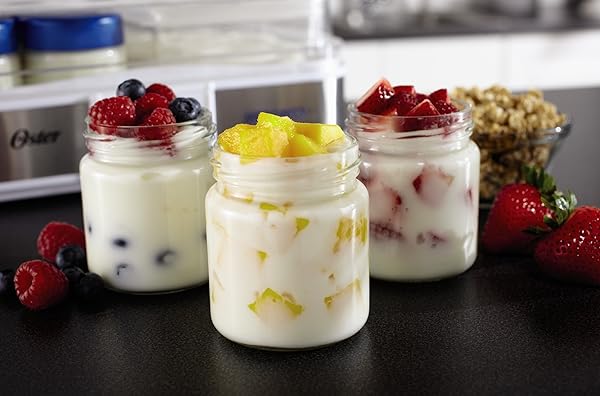 Best Yogurt Makers For The Money in 2024 - Top 9 Ranked Reviews