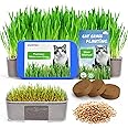 Amazon.com : Cat Grass Kit for Indoor Cats - 3 Pack | Organic Wheat Grass Seeds, Grows in 7 Days ...