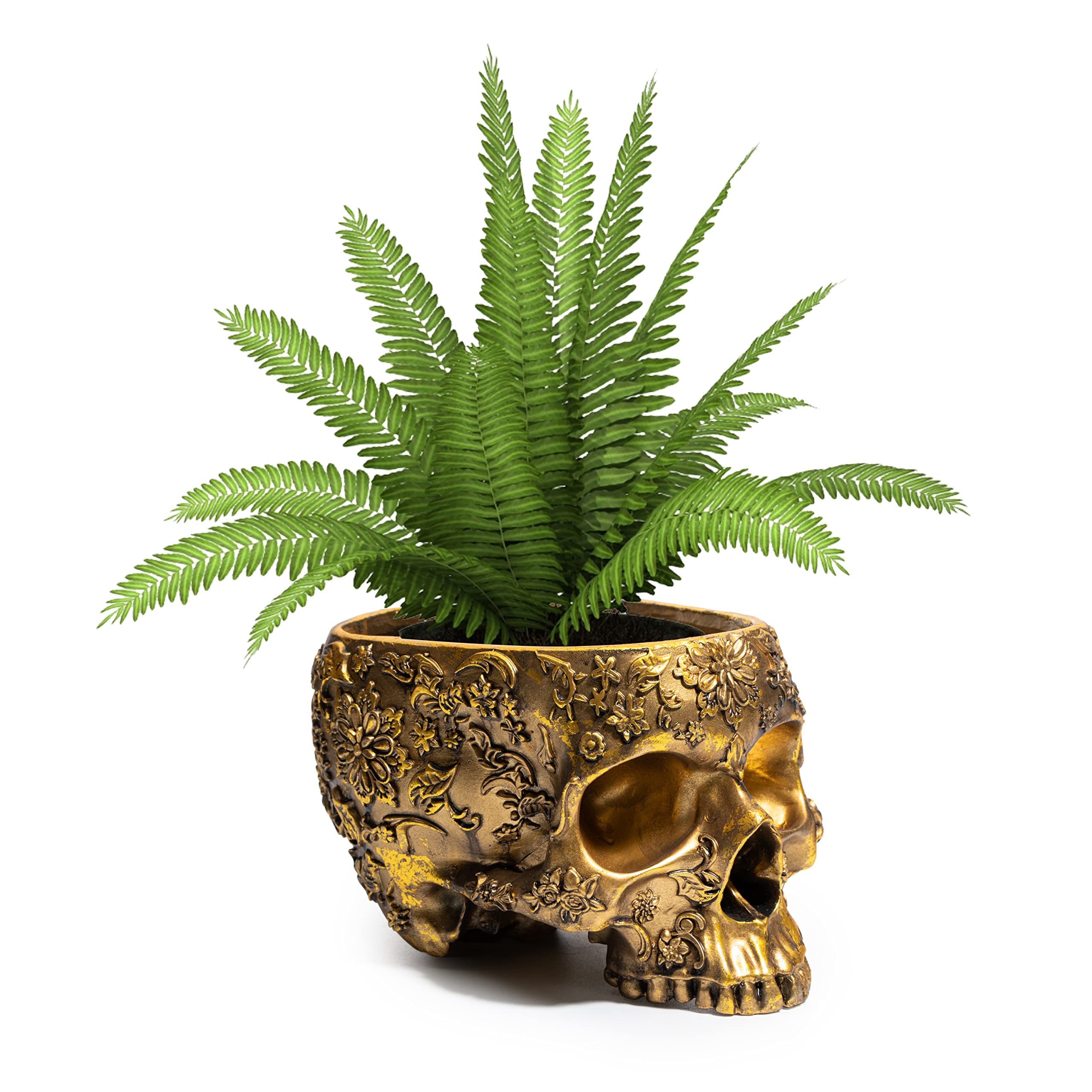 GUTE Skull Bowl & Plant Planter Pot 6" Deep Polyresin Skulls Pot for ...
