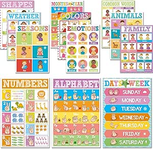 Amazon.com : 12 Pieces ASL Posters Sign Language Flash Cards American ...