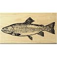 Amazon.com: P28 Trout Fish Rubber Stamp : Arts, Crafts & Sewing