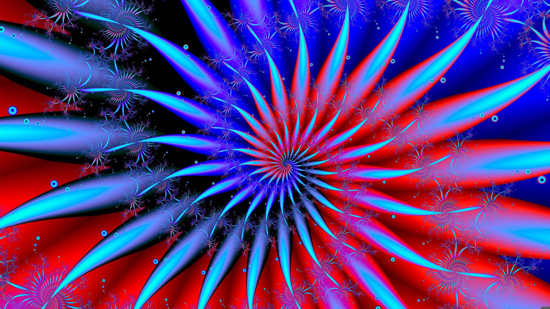 Amazon.com: PixArt Gallery: Appstore for Android