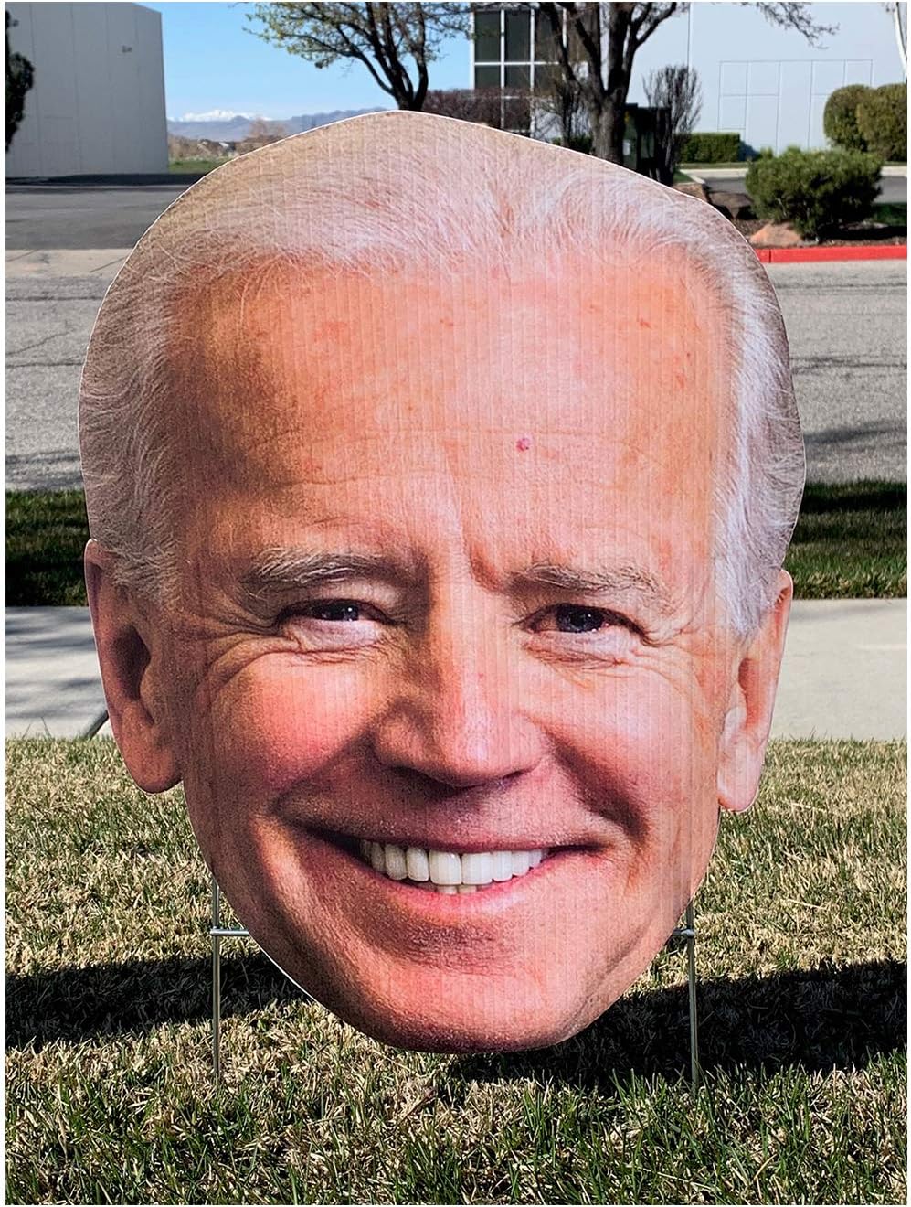 Amazon.com : Cardboard People Advanced Graphics Joe Biden Big Head Yard ...