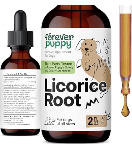 Stinging Nettle Rash On Dogs