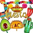 Amazon.com: Fiesta Balloons Letter Banner Mexico Taco Llama Cactus ...