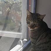 Flat Cats Window protection for Cats Standard Single Pack: Amazon.co.uk ...