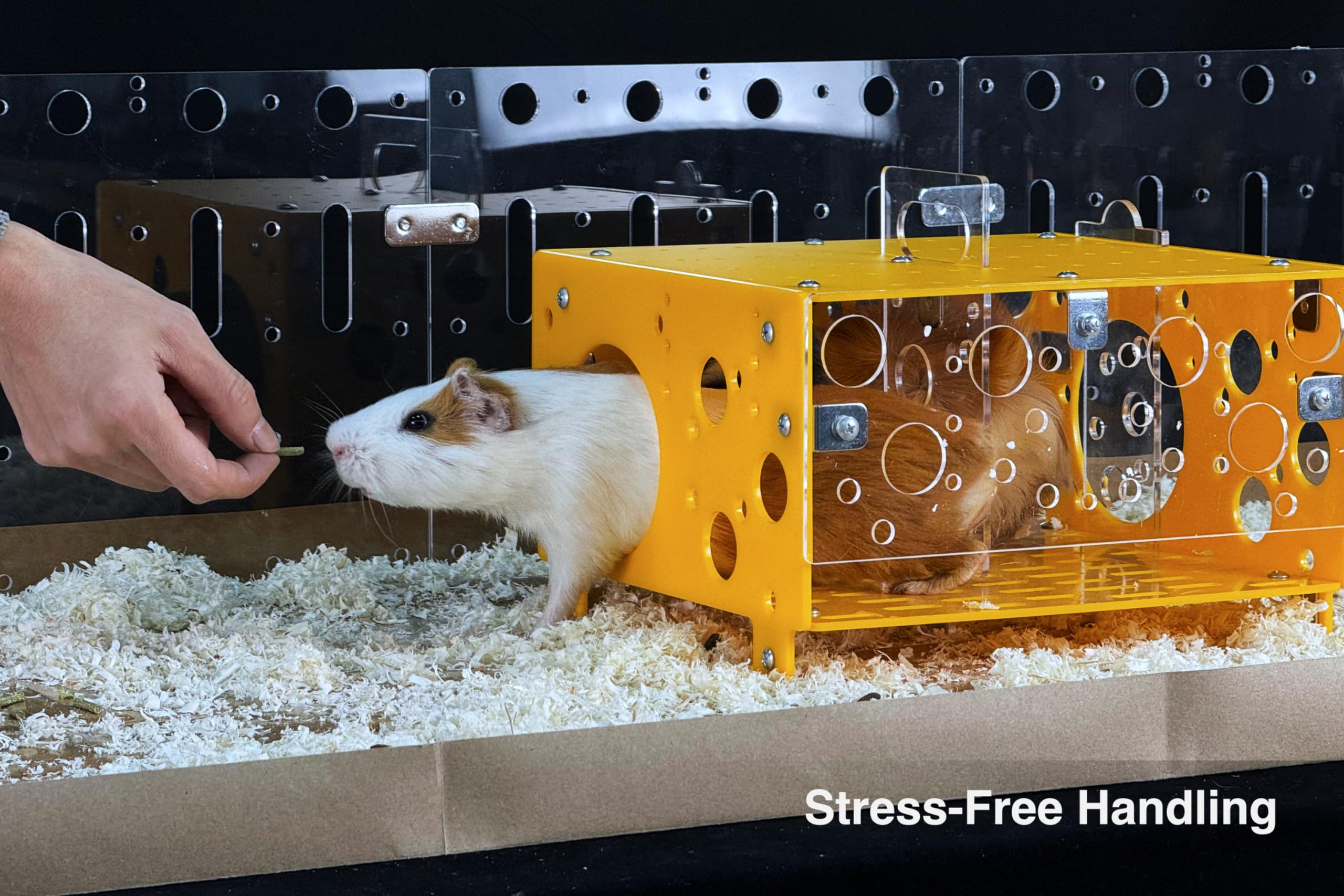 Mua GuineaLoft™ Guinea Pig Cheese House (Double Floor) - The Ultimate ...