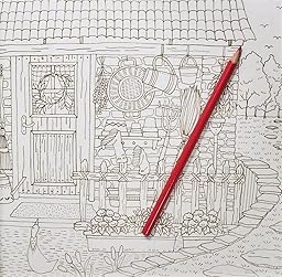 Amazon.com: Romantic Country: The Second Tale: A Fantasy Coloring Book ...