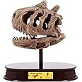 Amazon.com: ArtCreativity Dinosaur Excavation Kit for Kids, Carnotaurus ...