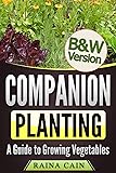 How to Grow Giant Vegetables: Bernard Lavery: 9780060951917: Amazon.com ...