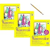 Amazon.com : Strathmore Paper 300 Series Watercolor Class Pack, Cold ...