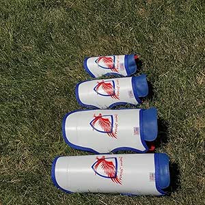 Raptor Shield Dog Pet Protection Vest Against Hawks & Other Birds of ...