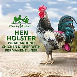 Hen Holster Bird Diaper, Wrap Around - For Hens, Roosters, Ducks, Leak ...