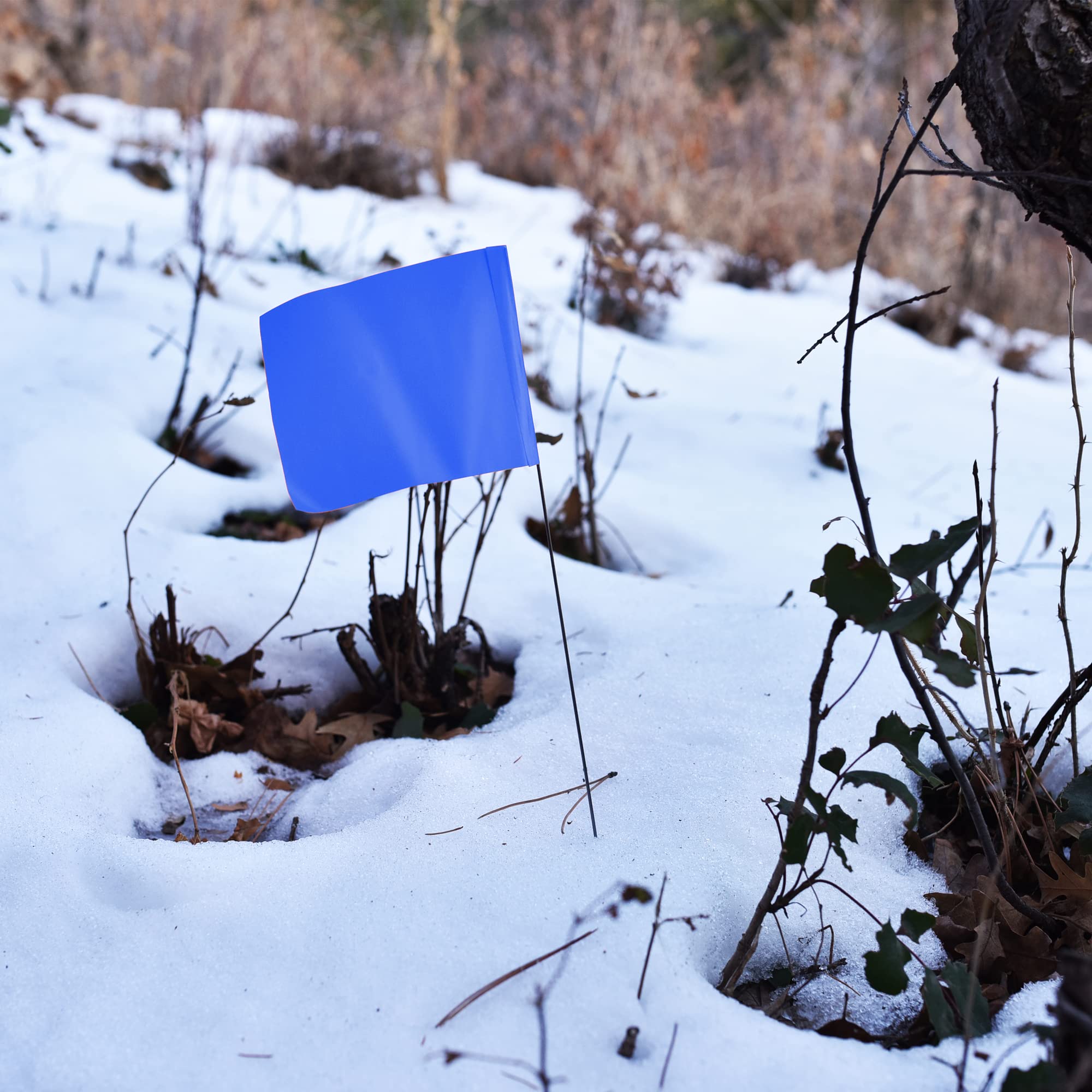 Blue Marking Flags 1000 Pack - 4x5-Inch Marker Flags - 15-Inch Wire ...