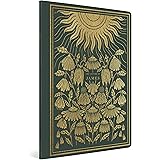ESV Illuminated Scripture Journal: Romans: ESV Bibles: 9781433564819 ...
